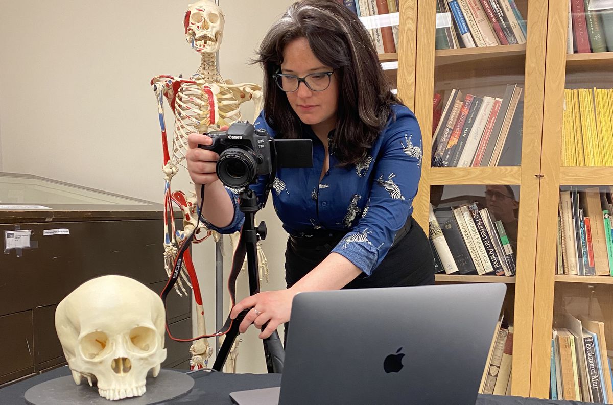 Human skulls reveal diverse roots of Anglo-Saxon ancestry – Our Generation